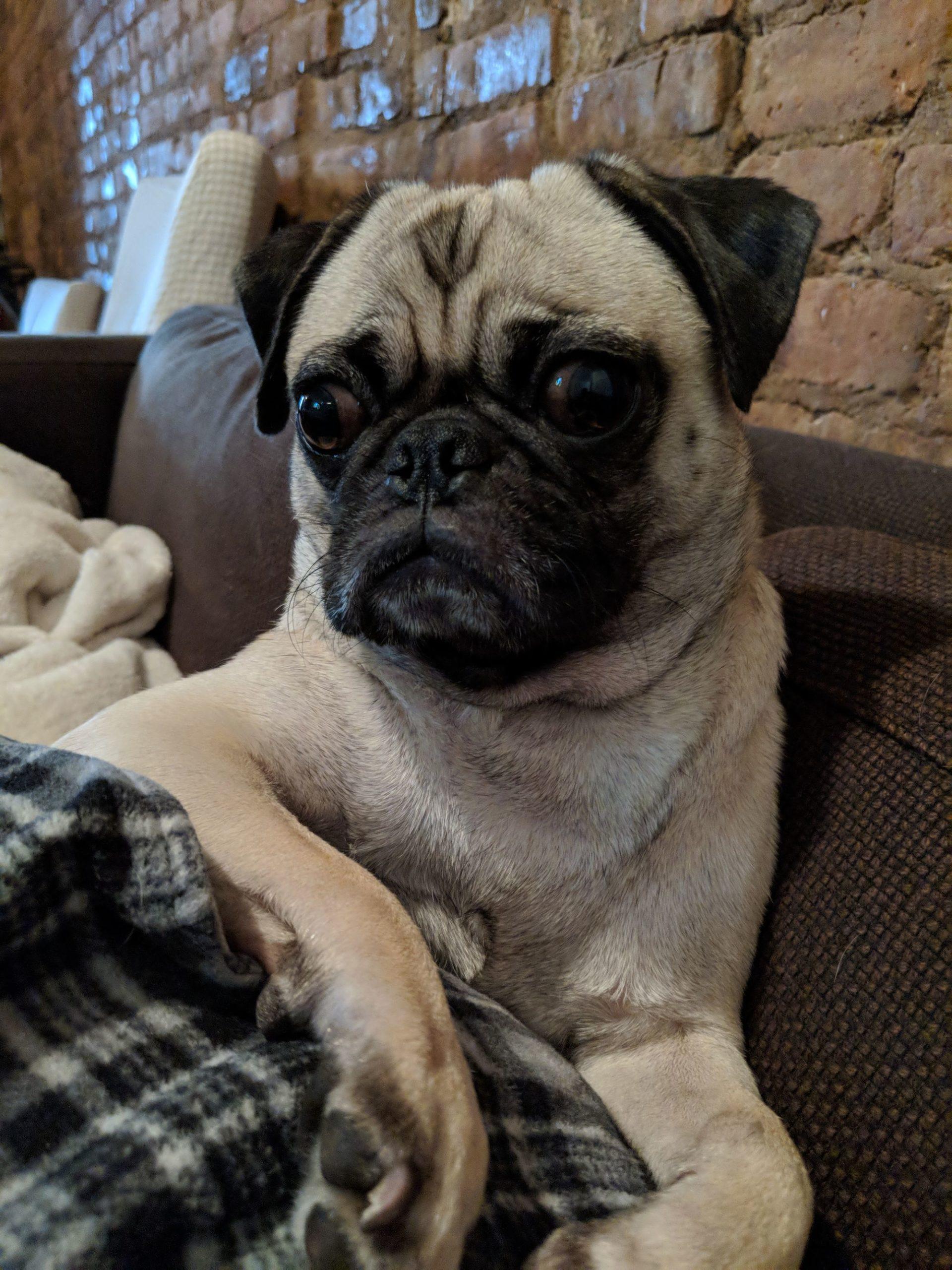 Your Application Shouldn't Be Your CRM | MeanPug Digital